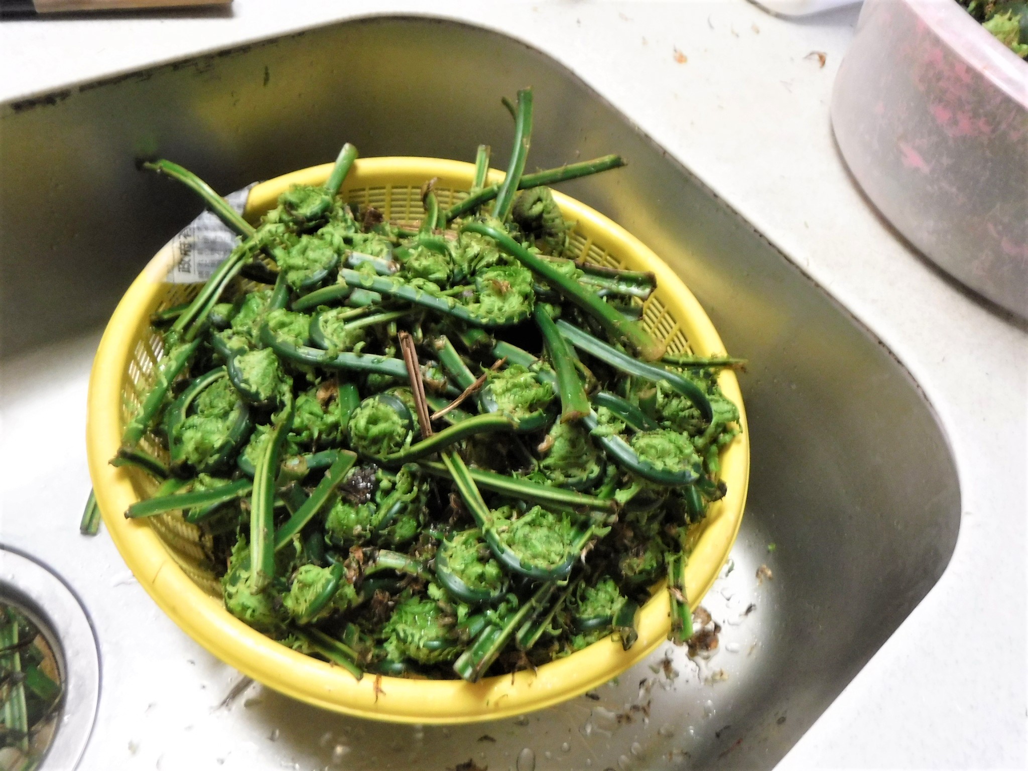 2023_0505_10294400 | とうちゃんねる