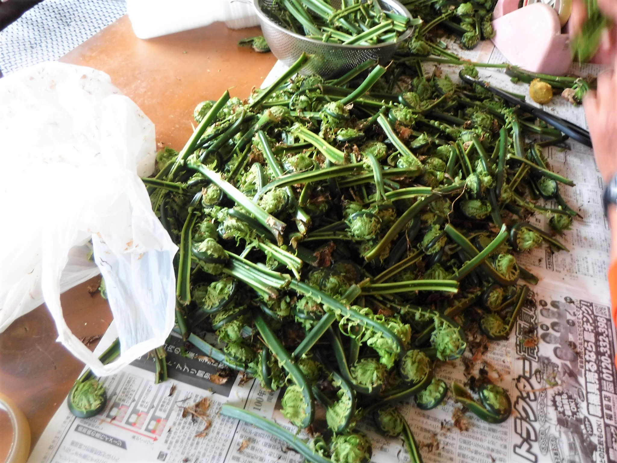 2023_0505_10294900 | とうちゃんねる